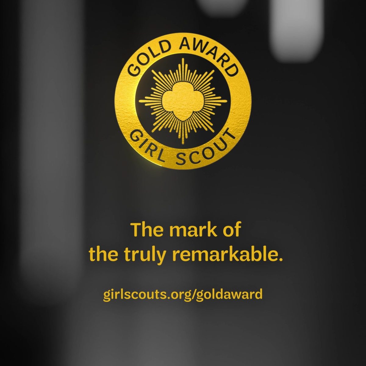 Gold Award Girl Scout Spotlight – GSWPA